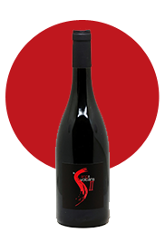 BENOIT MONTEL - Producteur de vins d'Auvergne à Riom (63)